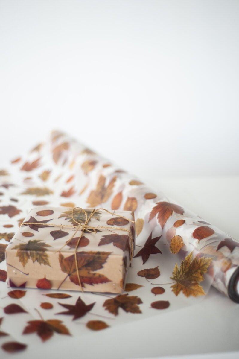 Dovanų popierius “Rudens lapai” — Story by Nature