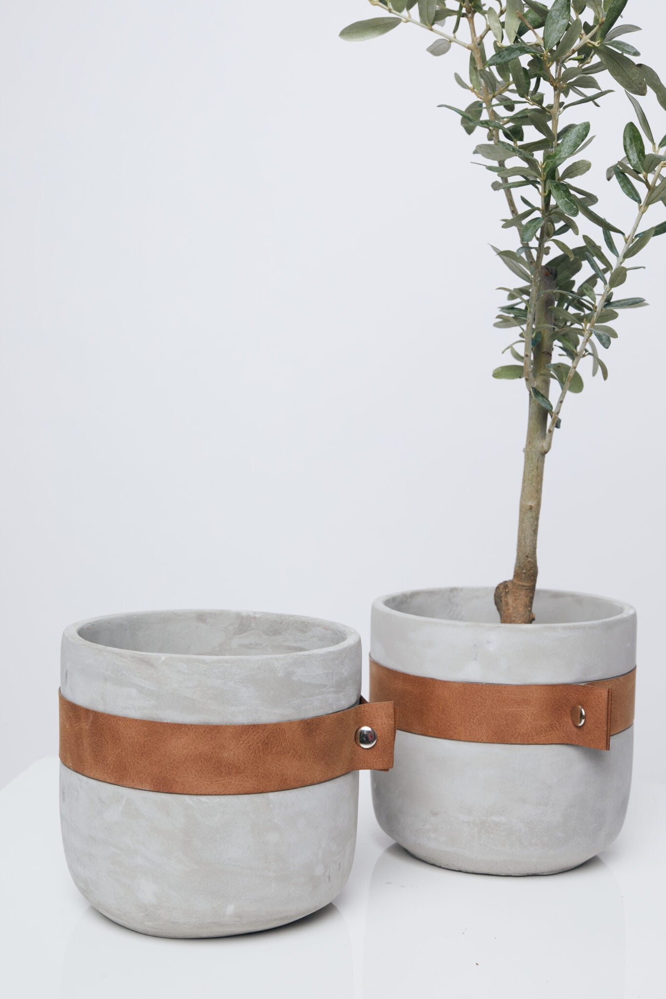 Betoninis vazonas su odine juostele — Story by Nature